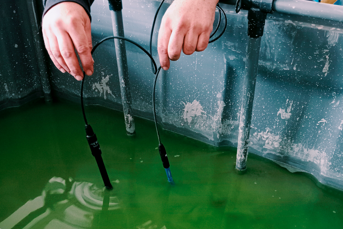 University of Coimbra implements pilot metal recovery system at ...