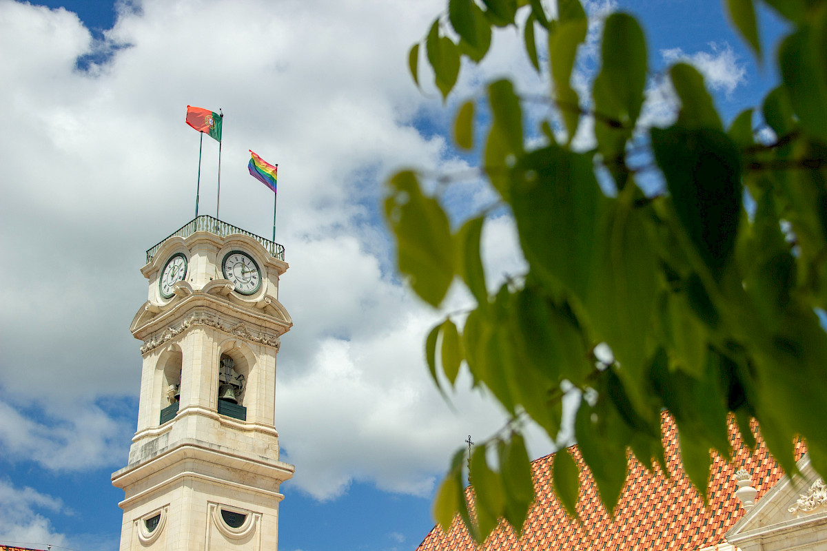 Dia Internacional Contra a Homofobia, Transfobia e Bifobia volta a ser ...